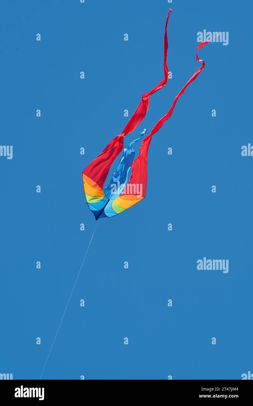 An outdoor kite flying festival. Kites are launched into the blue sky ...