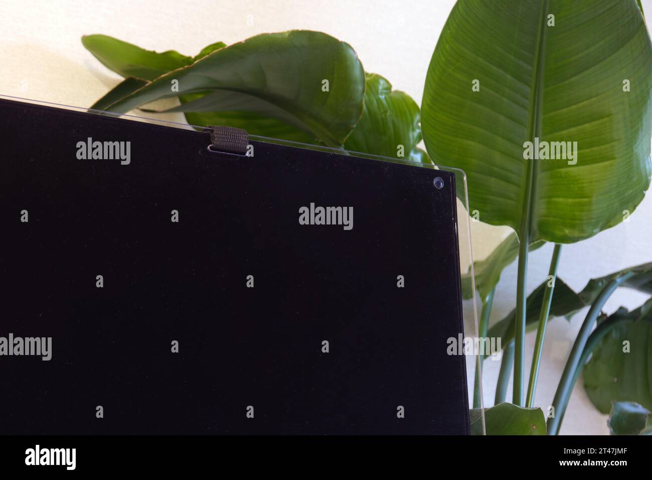 Protective glass for the TV screen. Protection against breaking the ...