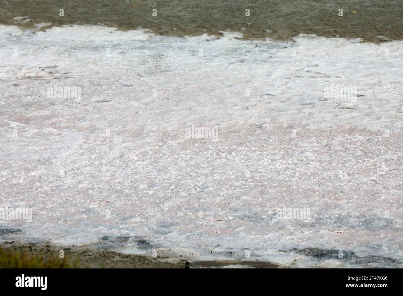 Salt deposits on the coast in the Camargue Stock Photo - Alamy