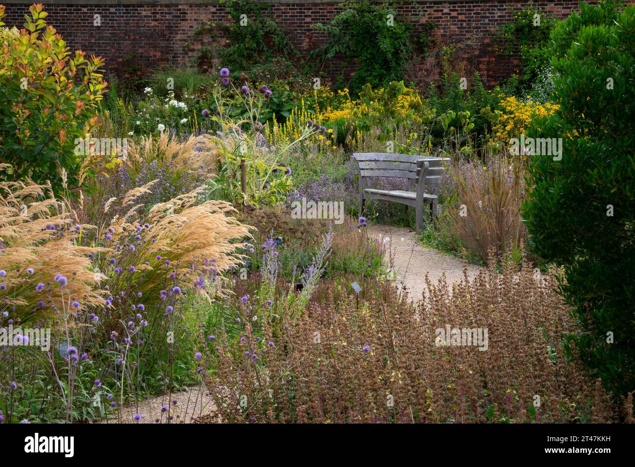 Summer in the gardens at RHS Bridgewater, Worsley, Salford, England ...