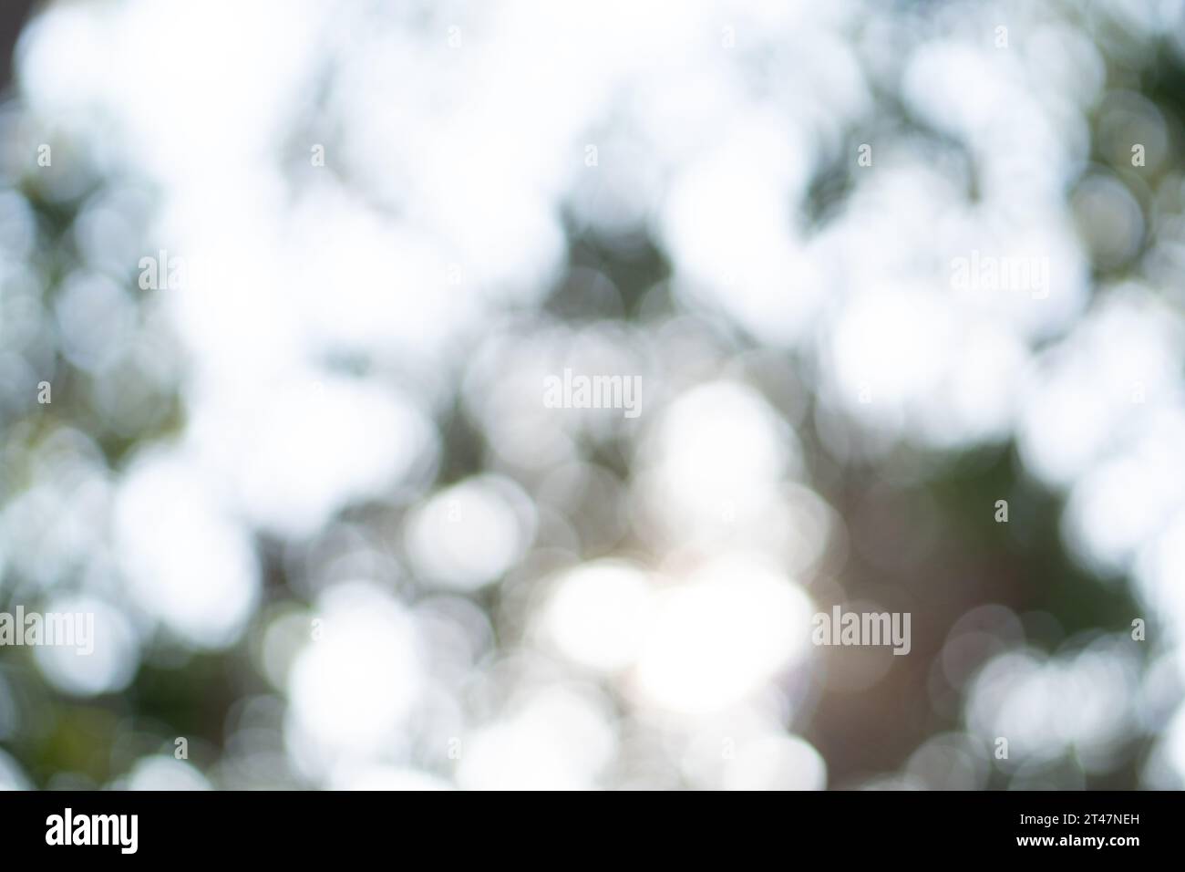Blurred view of abstract green background. Bokeh effect Stock Photo - Alamy