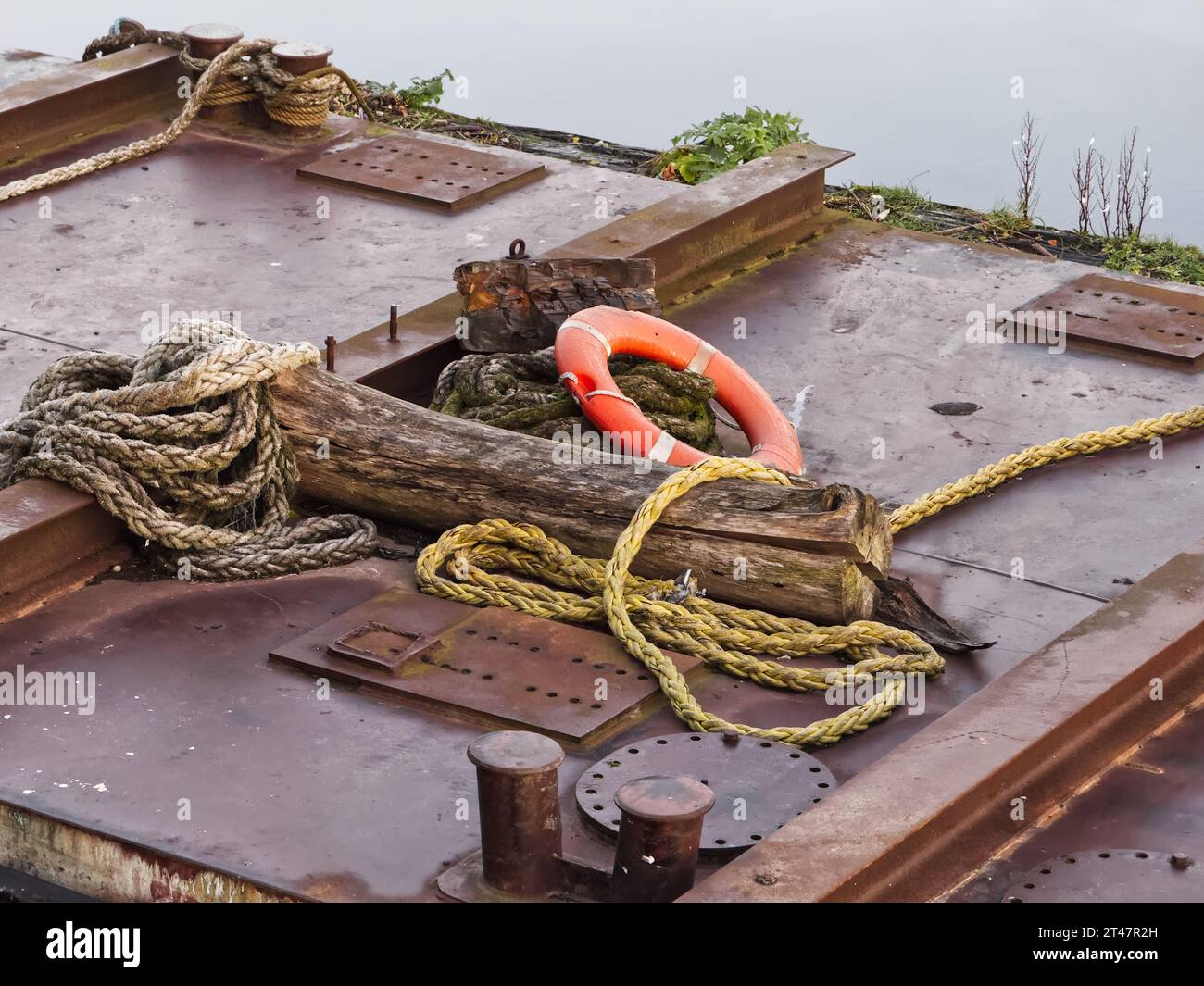 Red buoy life safety ring on pontoon and safety rope Stock Photo - Alamy