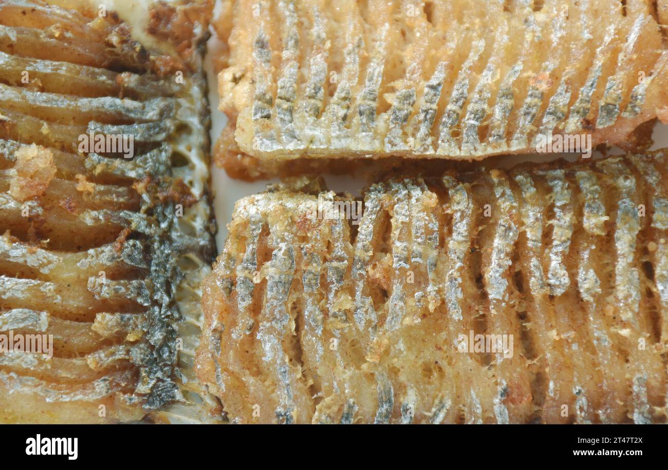 crispy fried chop large head hair tail fish arranging on plate dipping ...