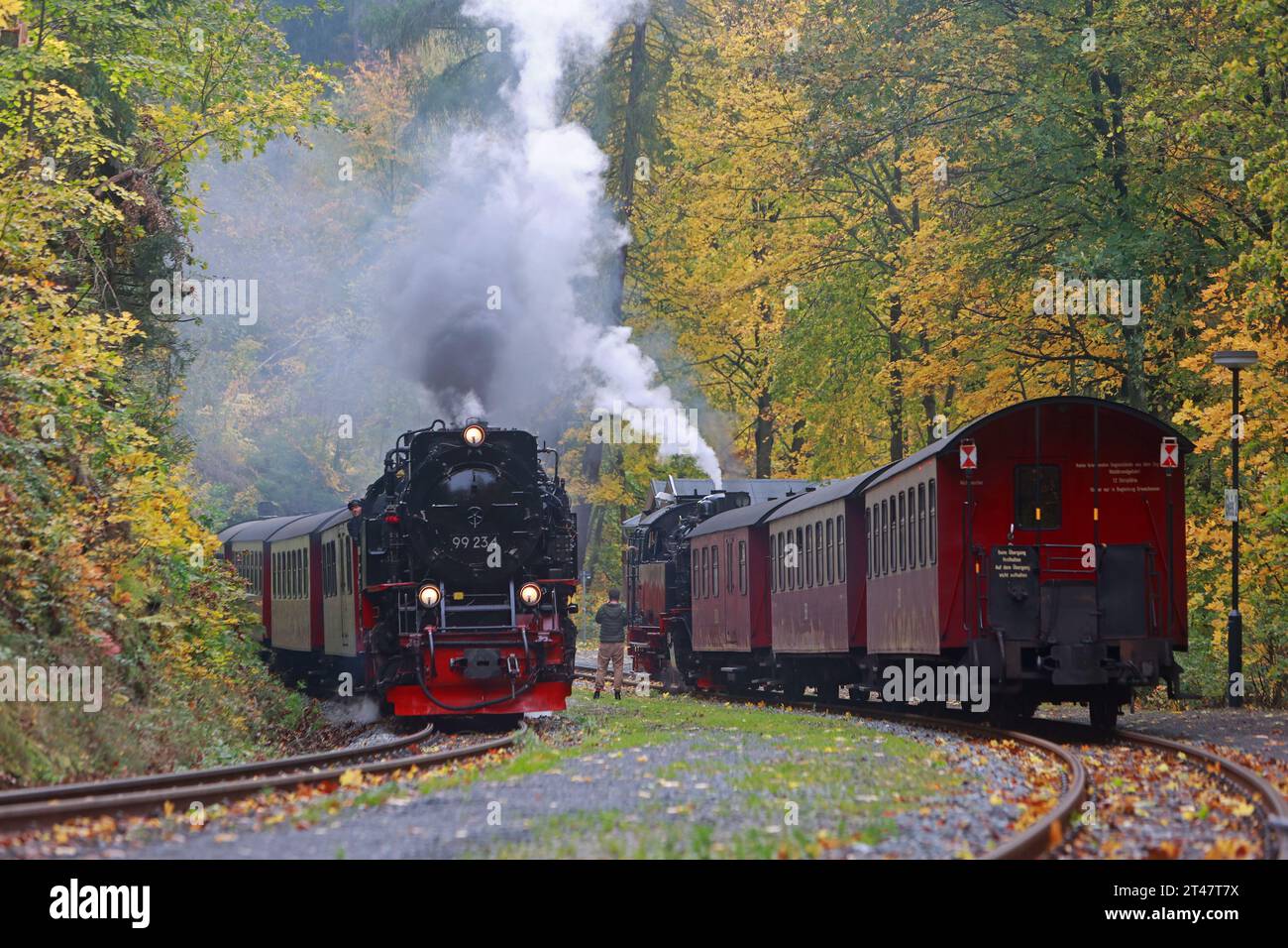 Wernigerode, Germany. 29th Oct, 2023. A train of the Harzer ...