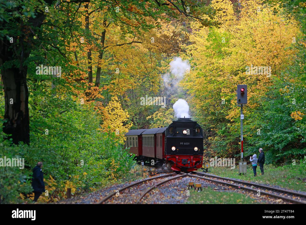 Wernigerode, Germany. 29th Oct, 2023. A train of the Harzer ...