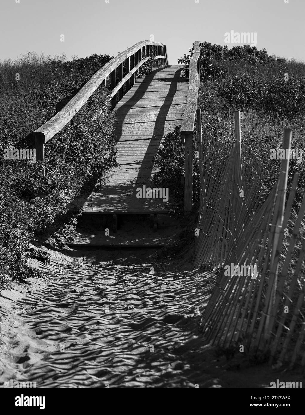 Tarvel Scenes on Capr Cod Stock Photo - Alamy