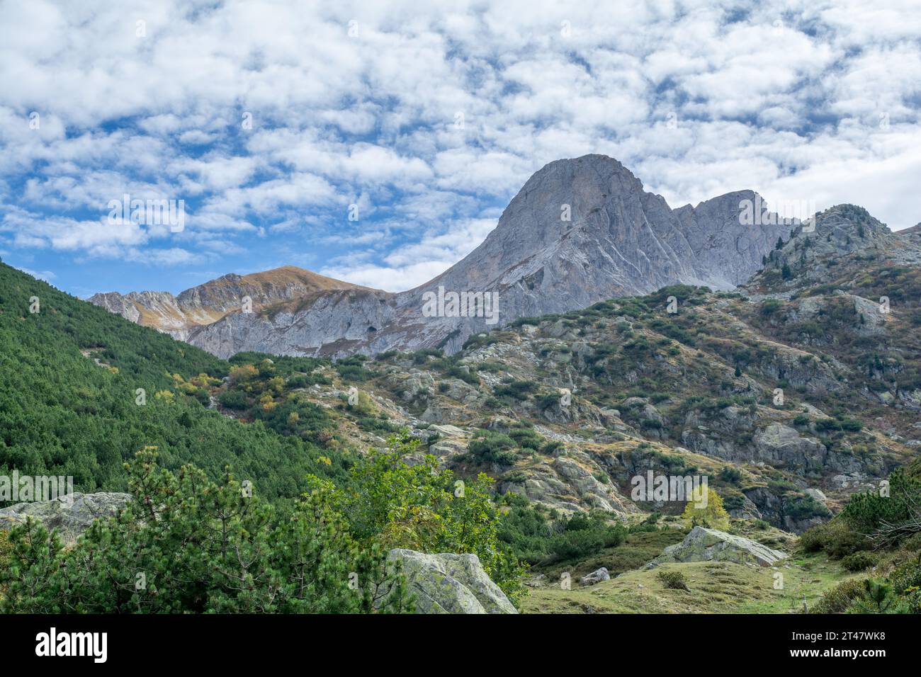 Monte frisson hi-res stock photography and images - Alamy
