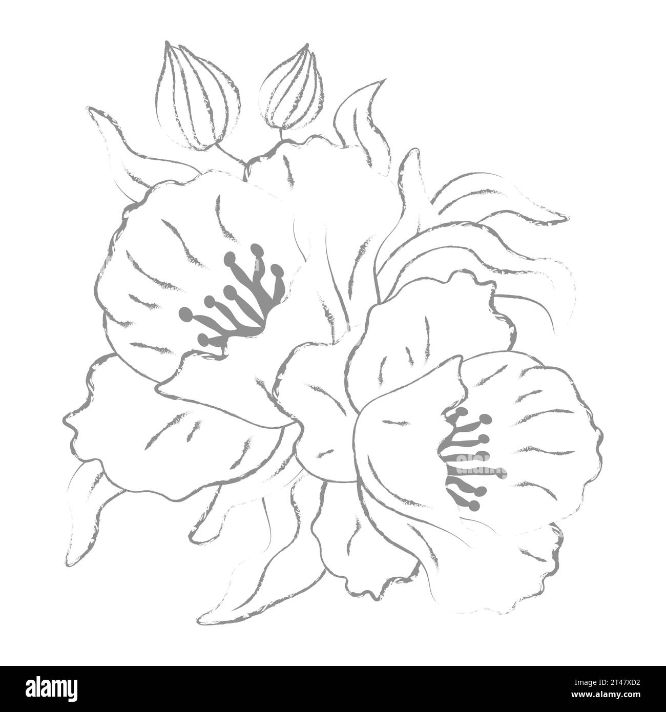 composition of leaves and two flowers linear hand drawing vector Stock ...