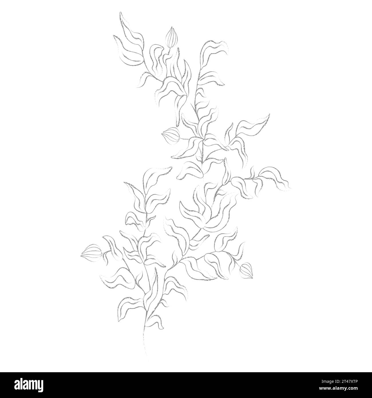 big branch with leaves hand drawn line drawing vector Stock Vector ...