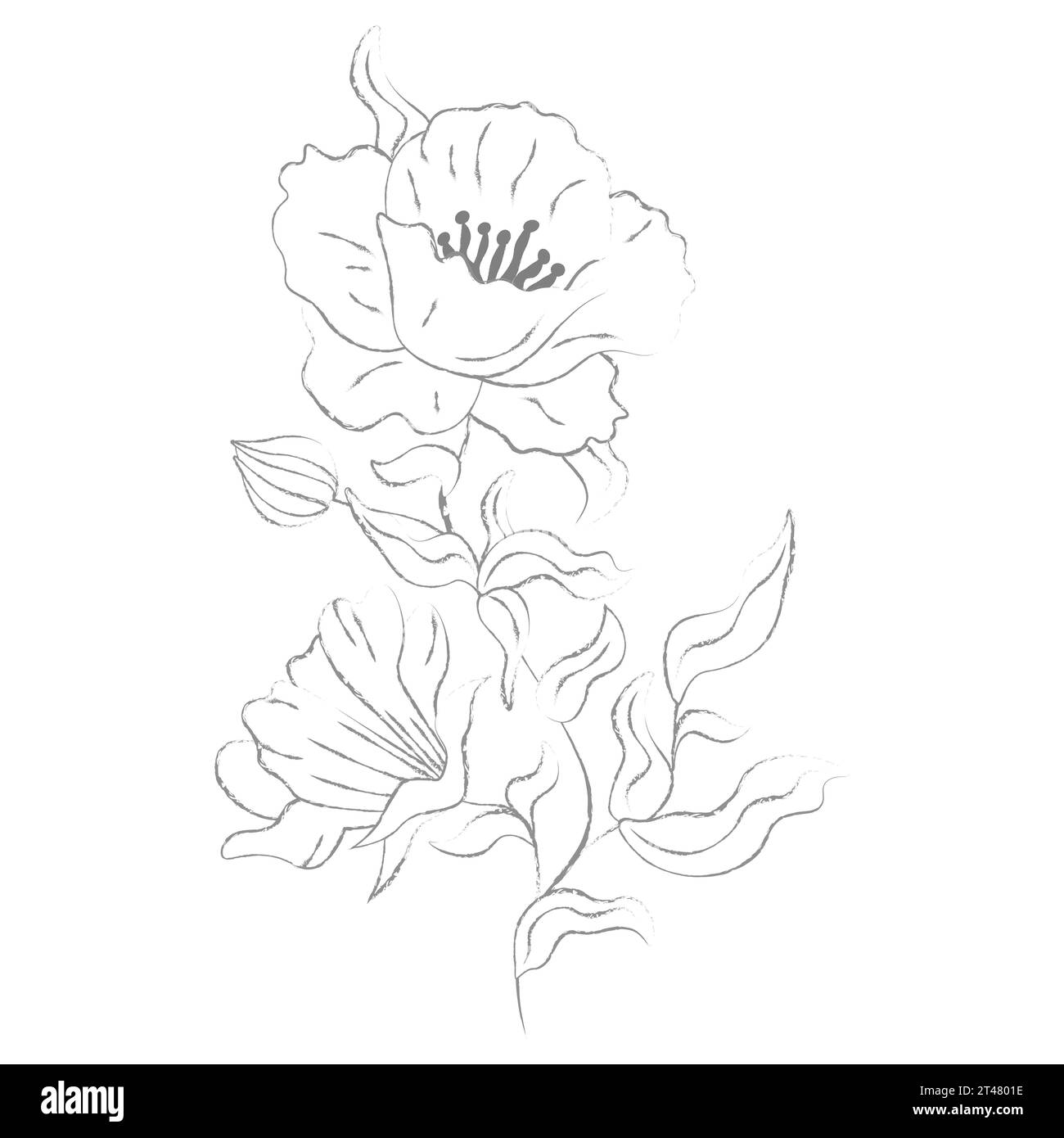 flower with leaves hand drawn line drawing vector Stock Vector Image ...