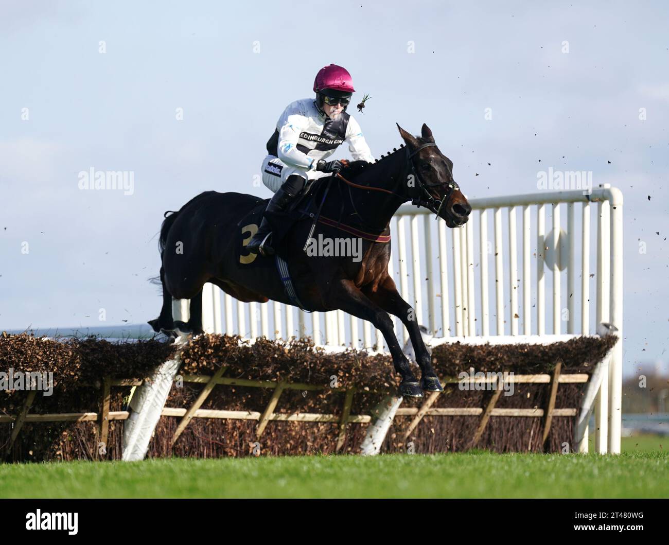 Patrick wadge hi-res stock photography and images - Alamy