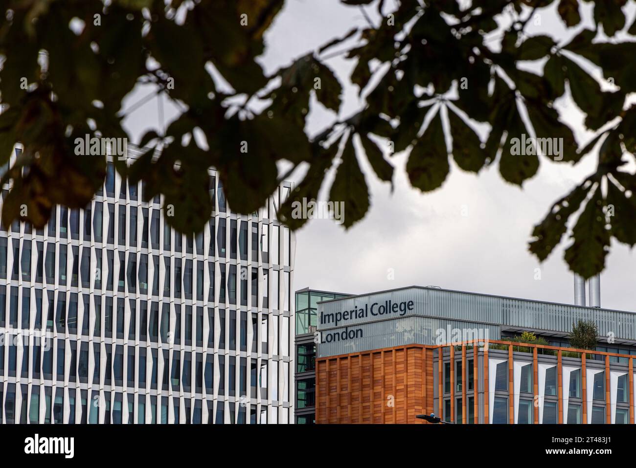 Westfield college london hi-res stock photography and images - Alamy