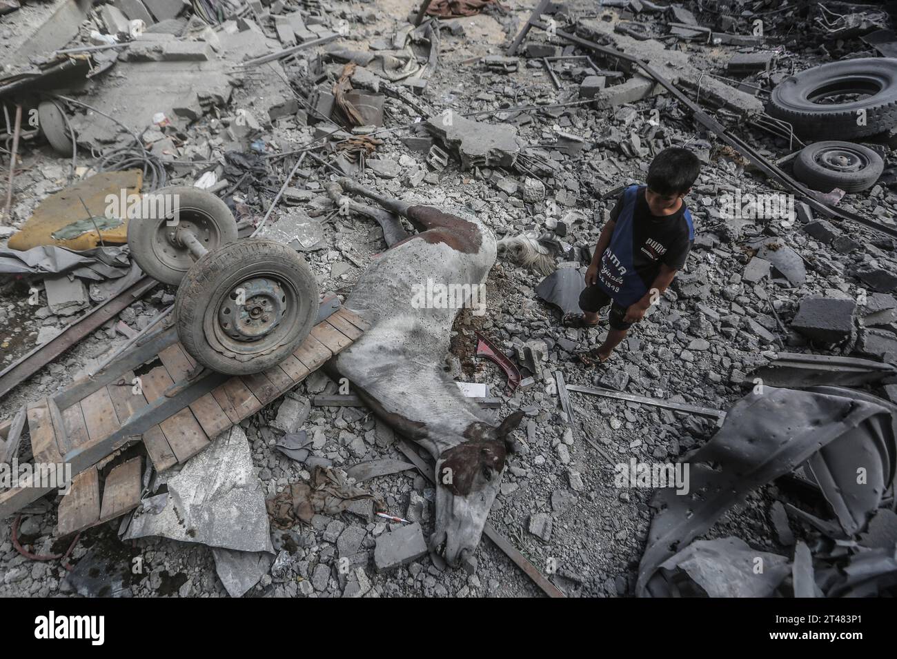 Al Bureij, Palestinian Territories. 29th Oct, 2023. A Palestinian child ...