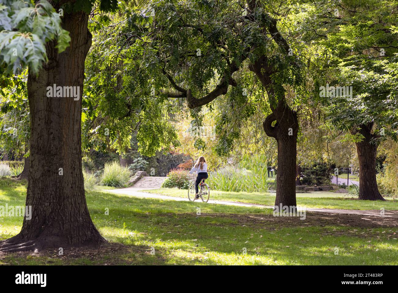 Westfield hammersmith hi-res stock photography and images - Alamy