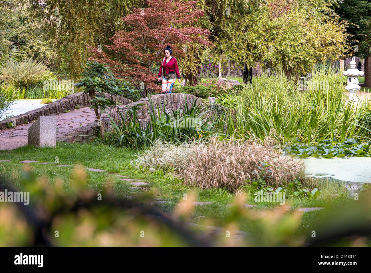 Hammersmith Park, Shepperd's Bush, London, England, UK Stock Photo - Alamy