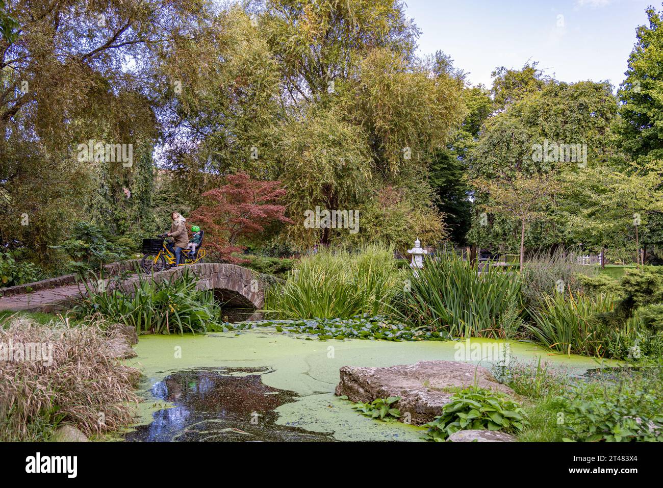 Westfield hammersmith hi-res stock photography and images - Alamy