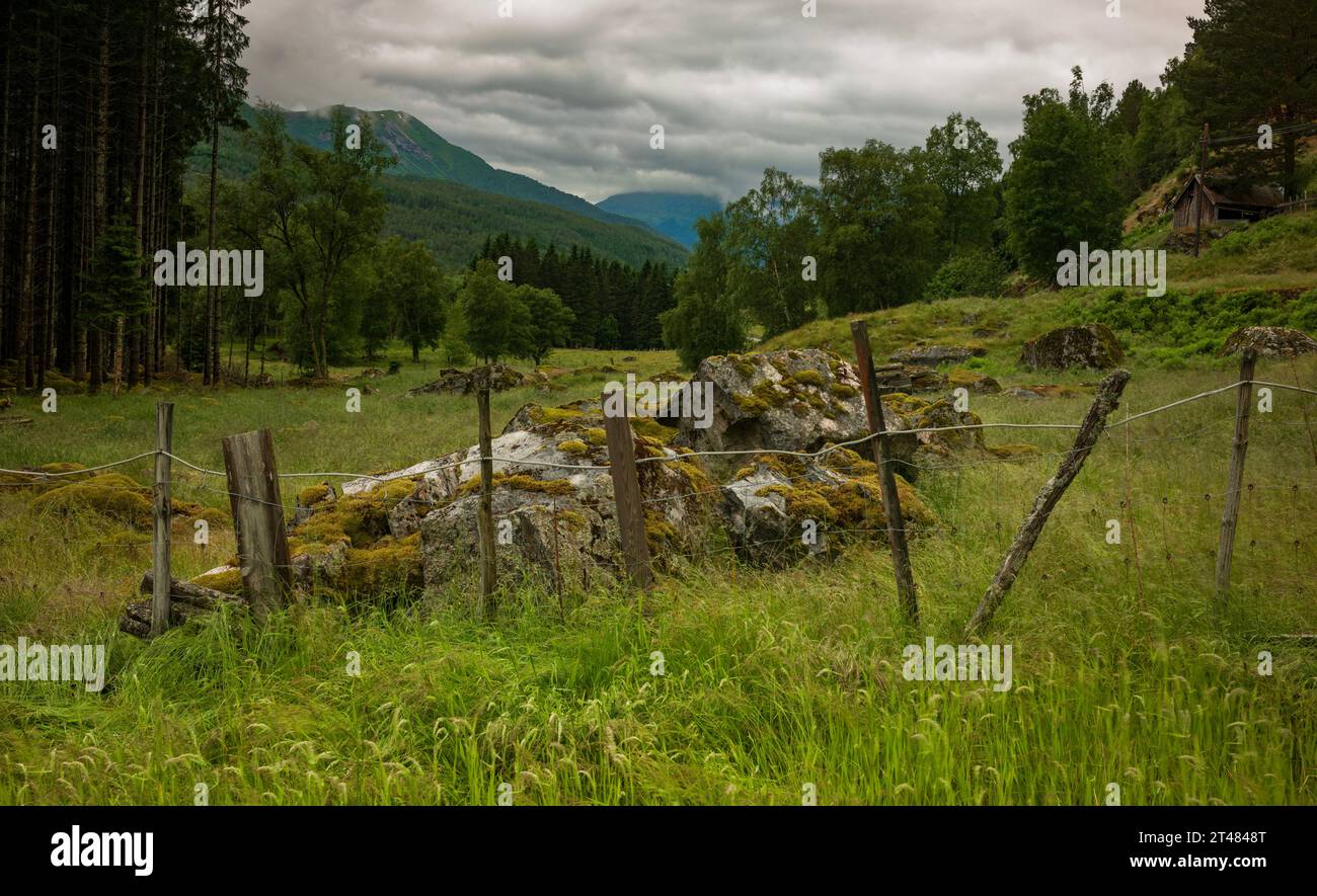 Barbed wire fence mountain valley hi-res stock photography and images ...
