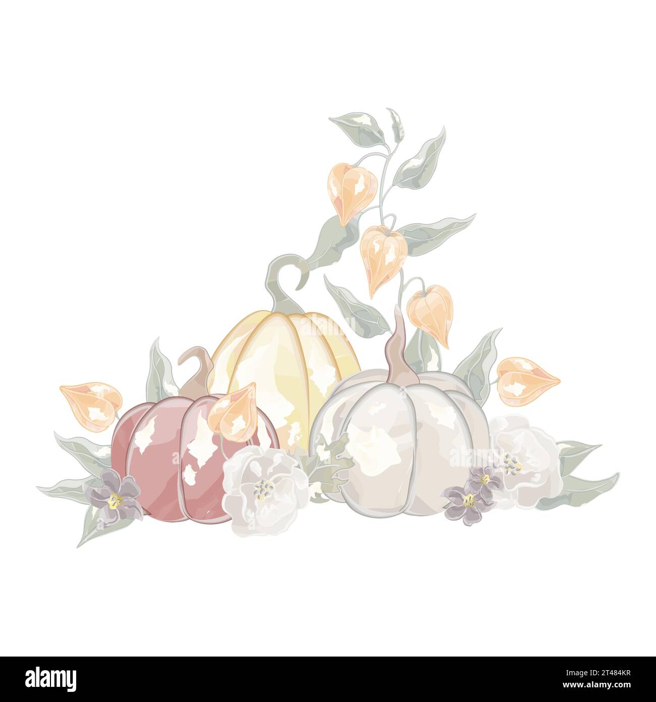 autumn watercolor composition of pumpkins Stock Vector Image & Art - Alamy