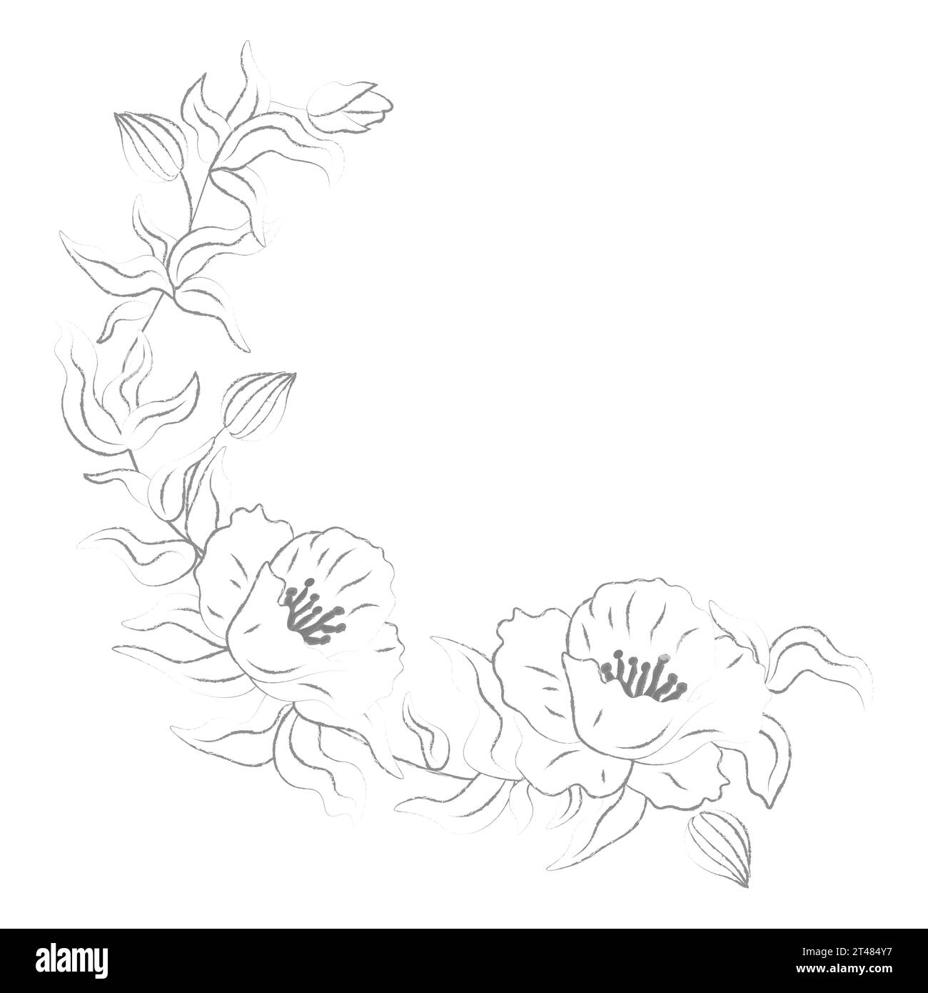 corner composition of flowers vector linear banner Stock Vector Image ...