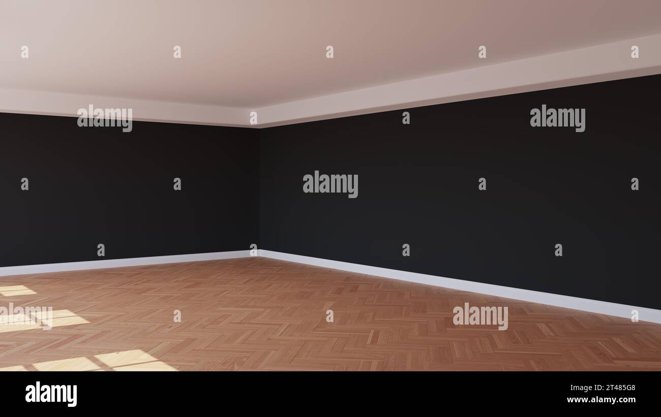 Corner of the Sunlit Room with Black Walls, a White Ceiling and Cornice ...