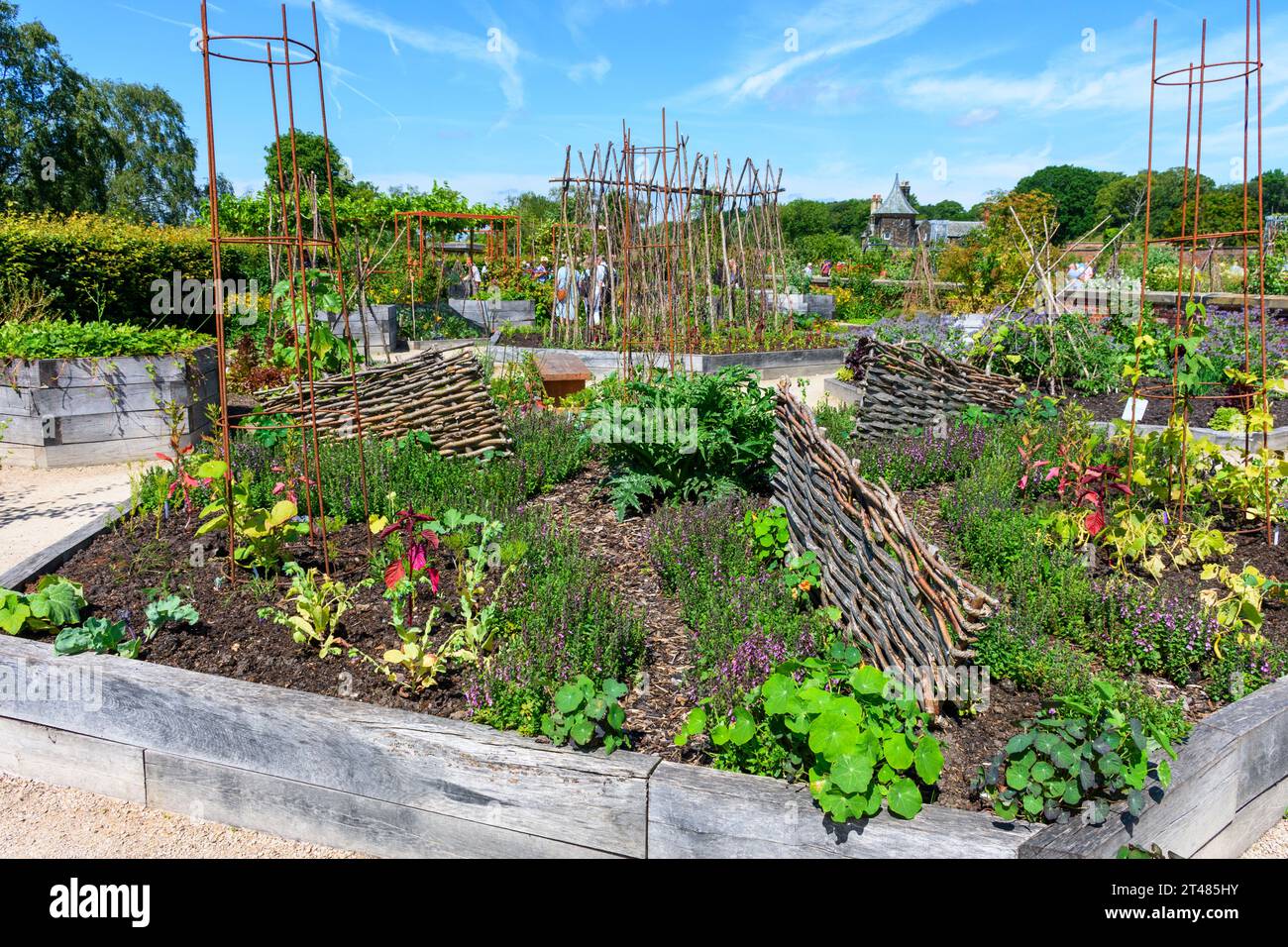 Flower beds in the Community Grow area of the Weston Walled Garden at ...