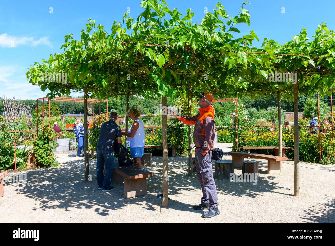 Seating shaded by mulberry trees in the Community Grow area of the RHS ...