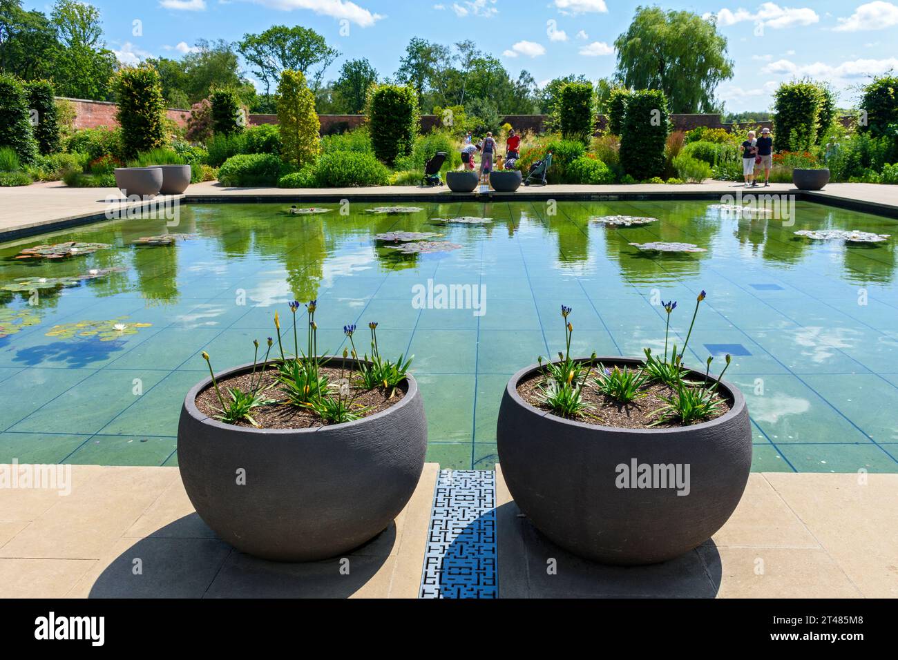 The Lily Pond in the Paradise Garden area of the Weston Walled Garden ...