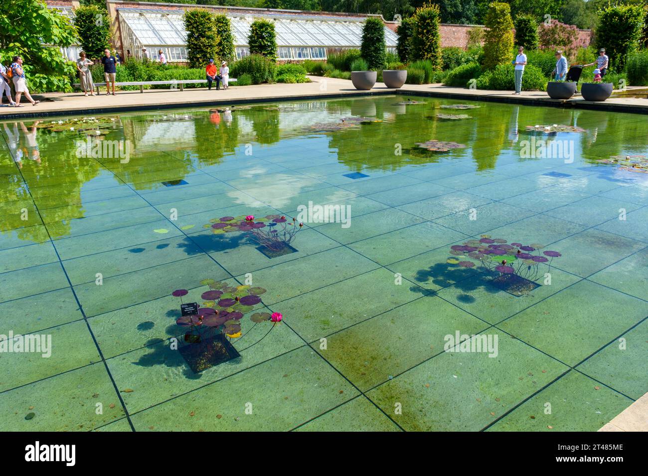 The Lily Pond in the Paradise Garden area of the Weston Walled Garden ...