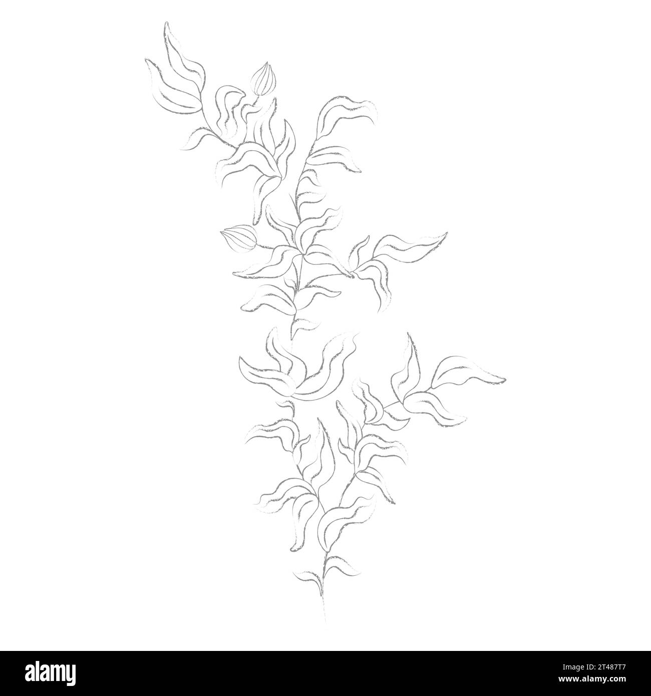 branch with leaves hand drawn line drawing vector Stock Vector Image ...