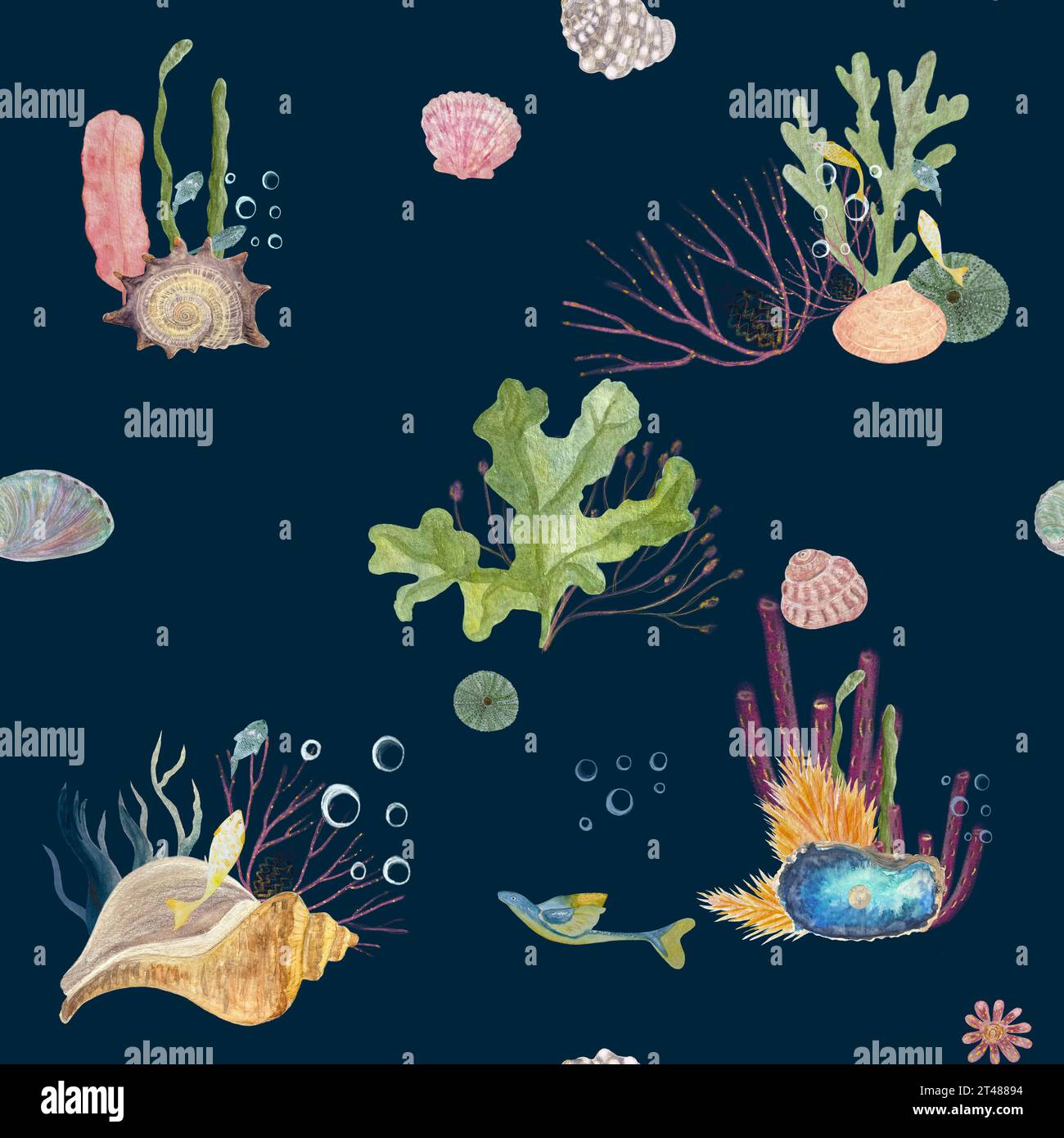 Watercolor hand-drawn underwater seamless pattern Stock Photo - Alamy