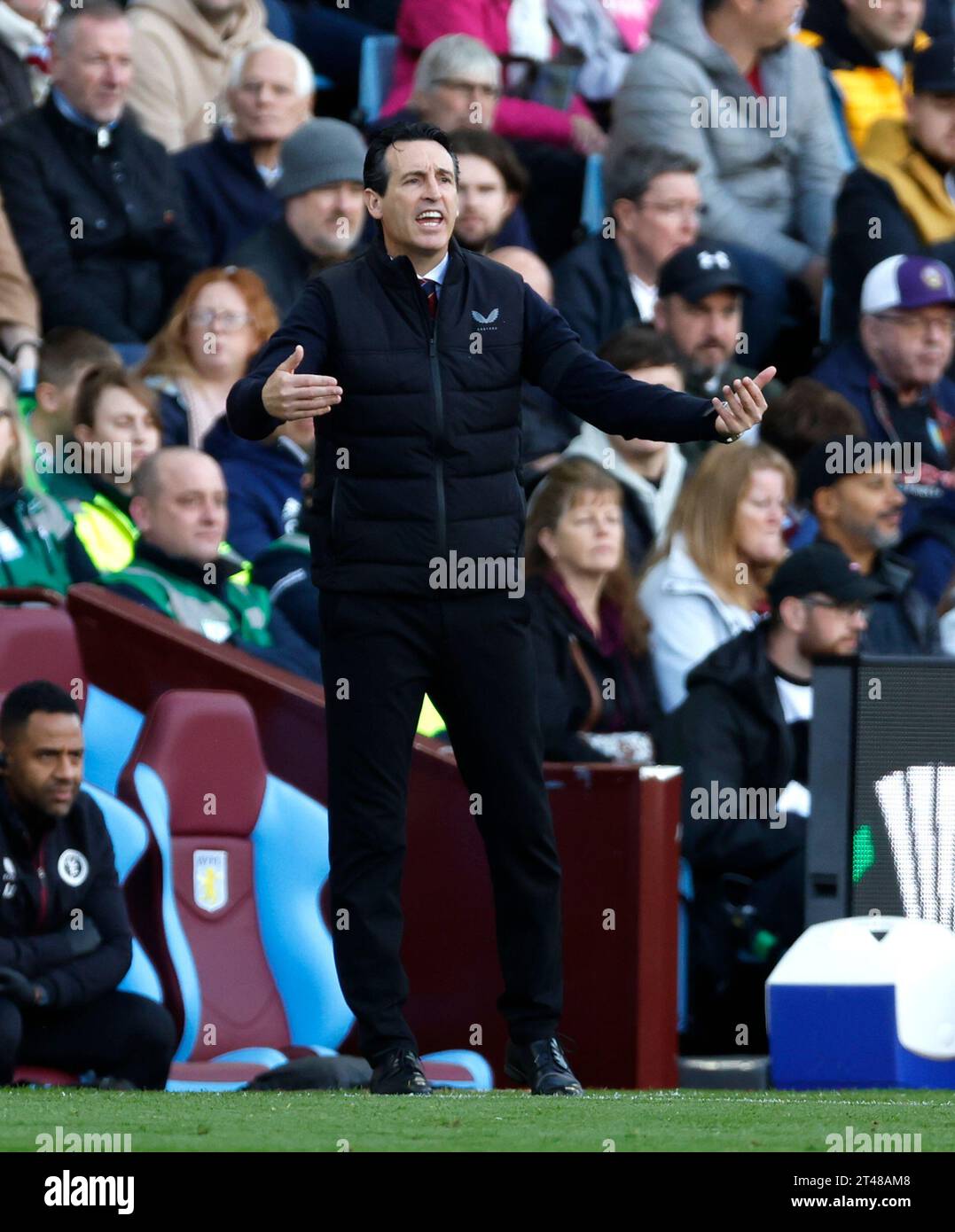Aston Villa manager Unai Emery reacts on the touchline during the ...