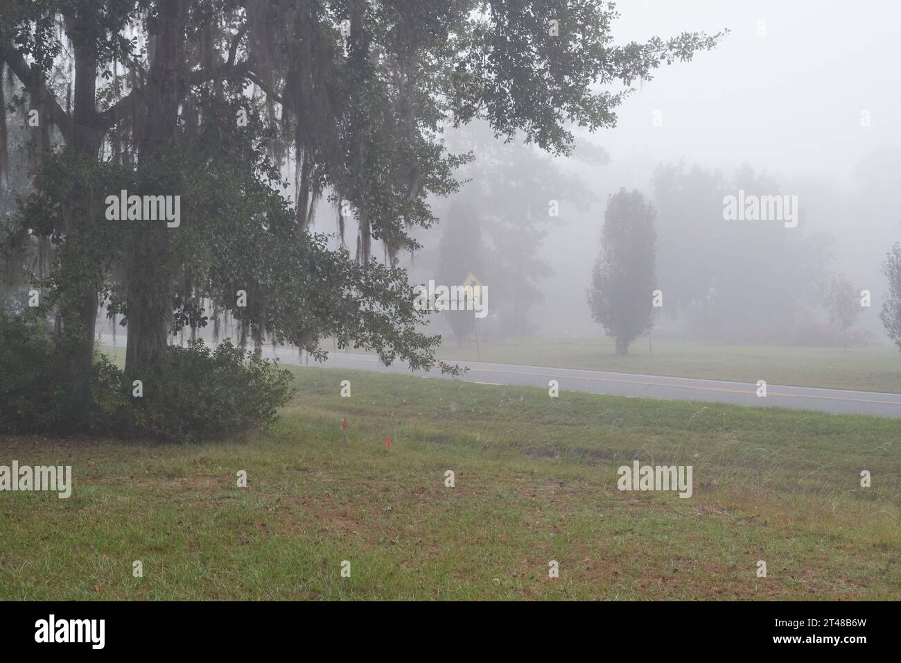 Spooky vibe hi-res stock photography and images - Alamy