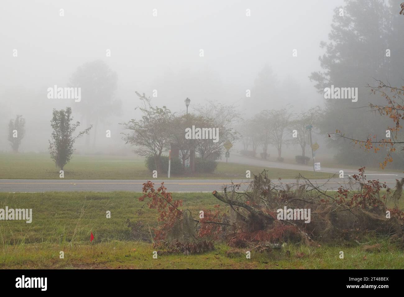 Foggy Sunday morning in Fall,Autumn just before Halloween,Spooky ...