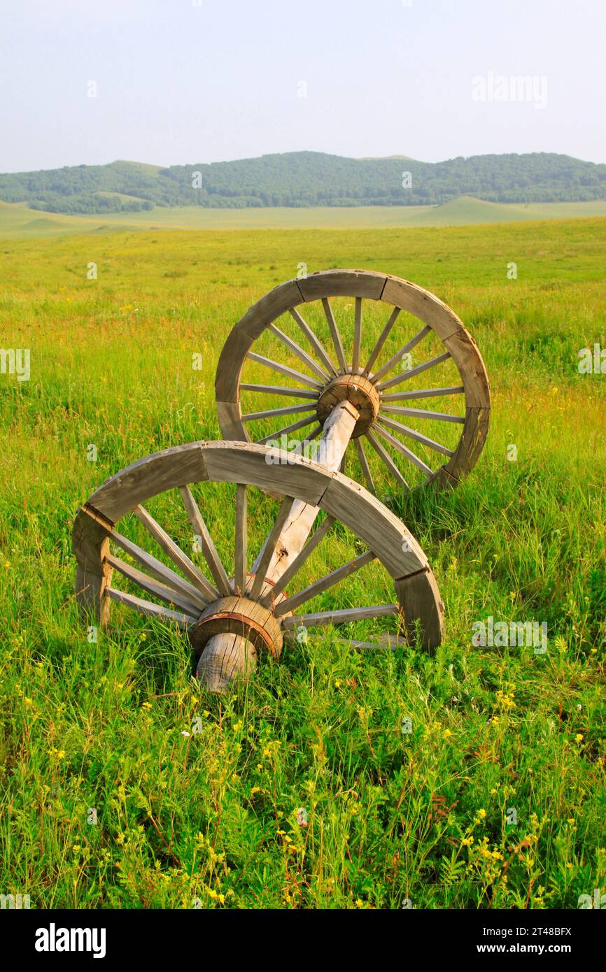 Wooden wheels in the grasslands, closeup of photo Stock Photo - Alamy
