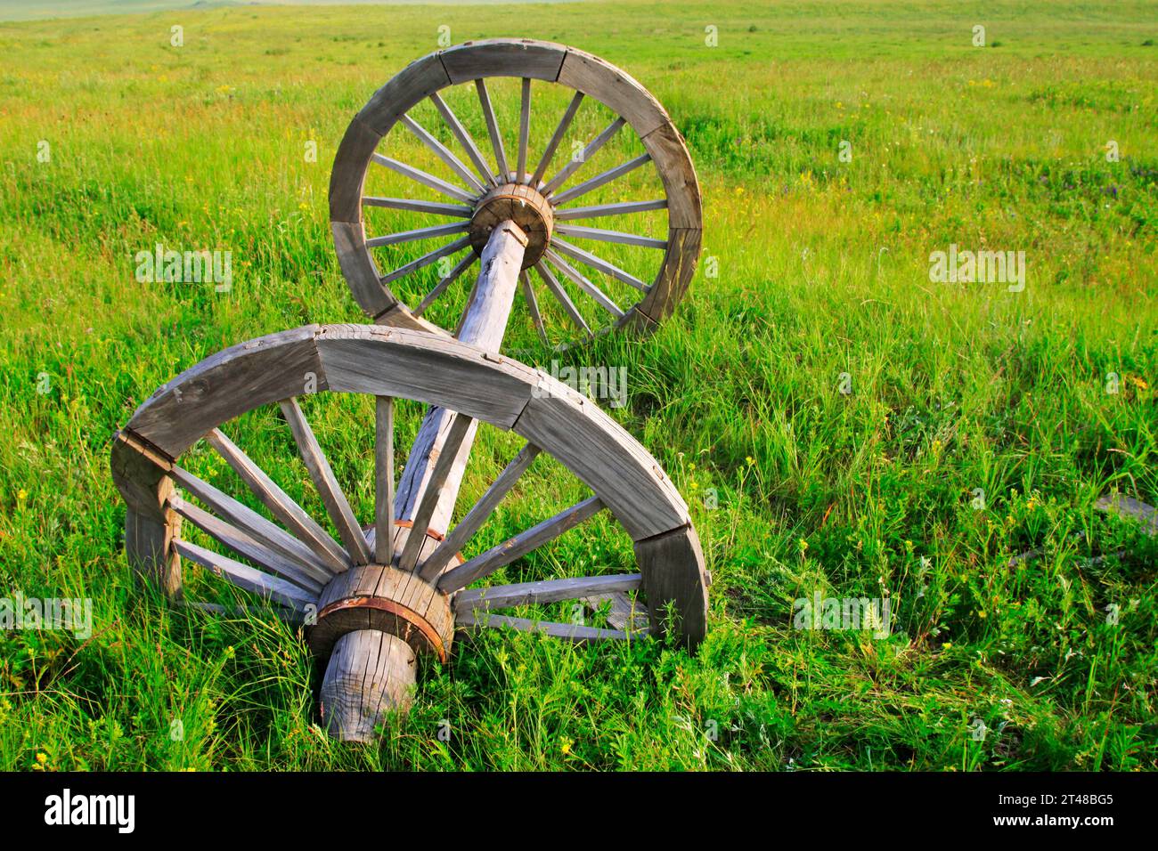 Wooden wheels in the grasslands, closeup of photo Stock Photo - Alamy