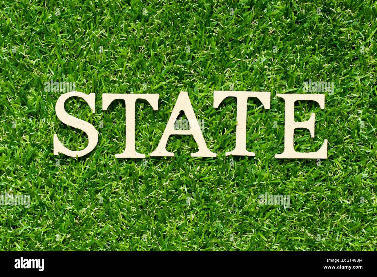 Wood letter in word state on green grass background Stock Photo - Alamy