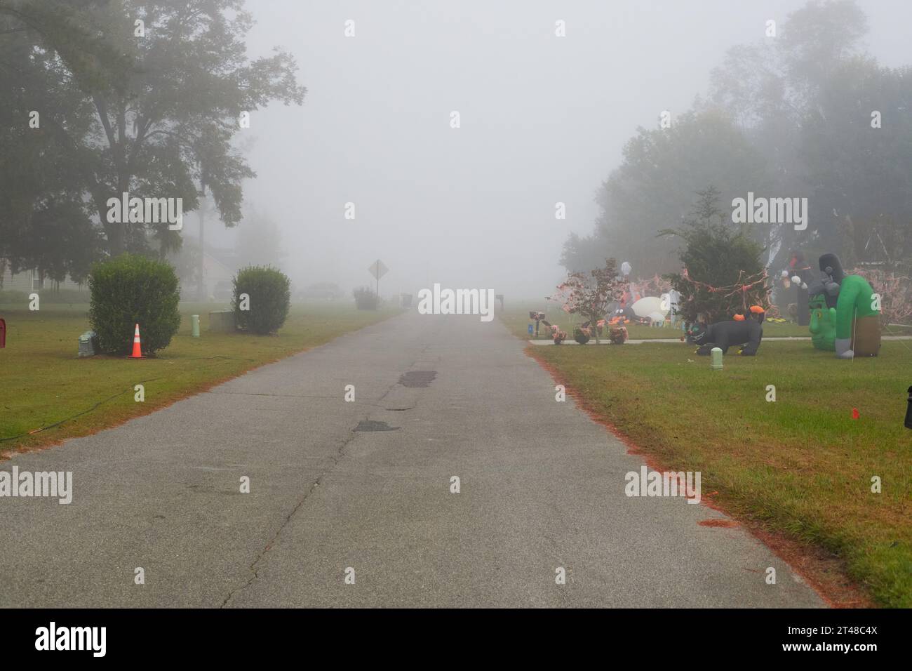 Foggy Sunday morning in Fall,Autumn just before Halloween,Spooky ...