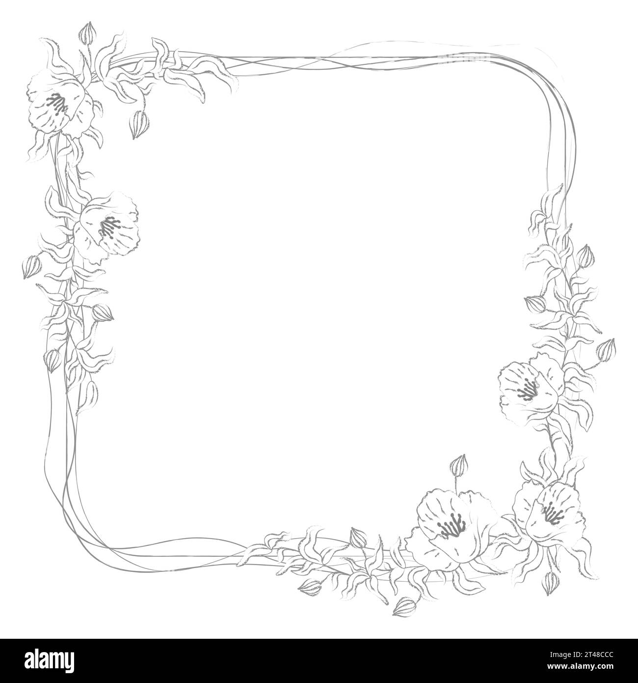 frame square hand drawing with leaves and flowers lines transparent ...