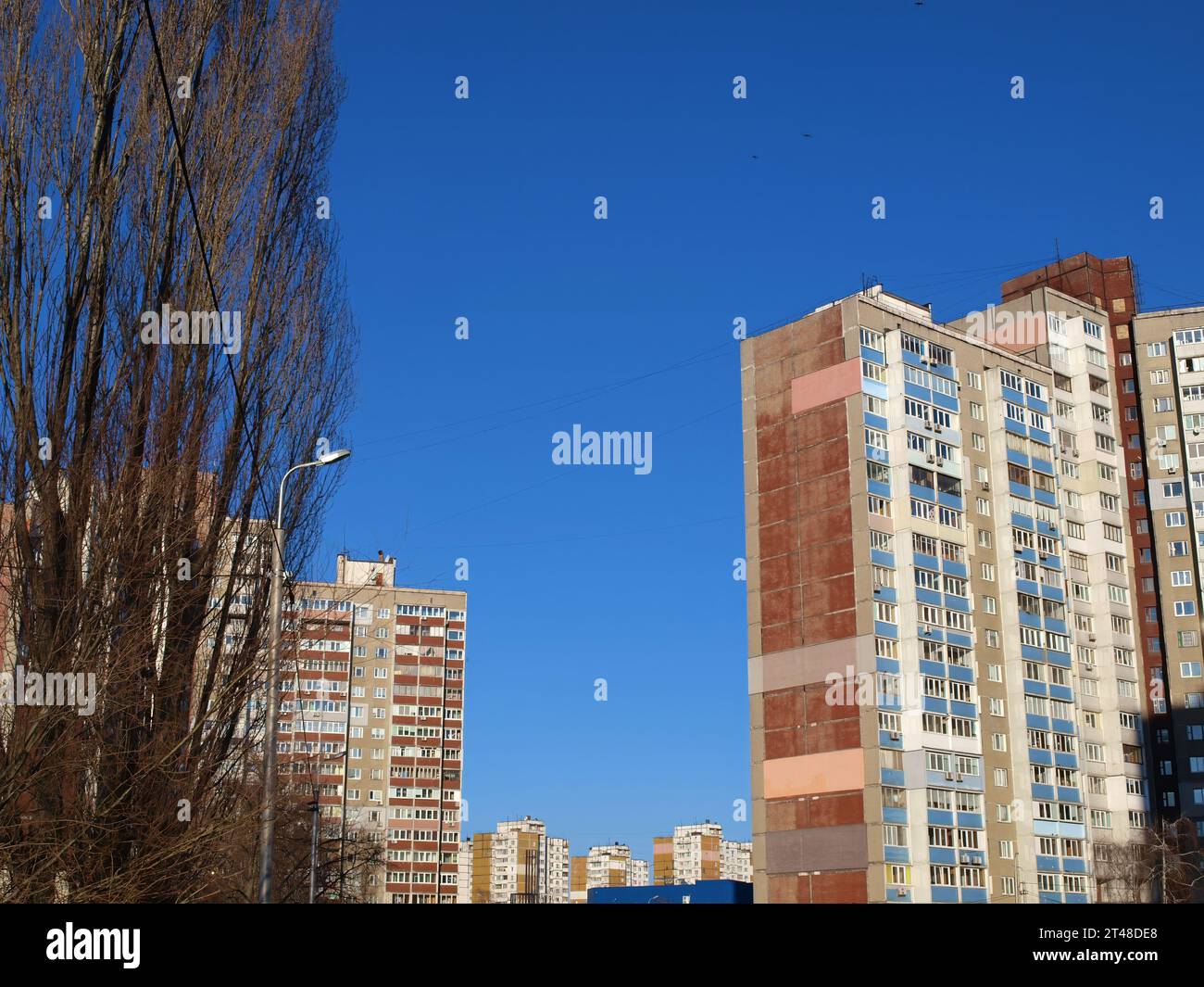 A template with a place for your personal text information between ...