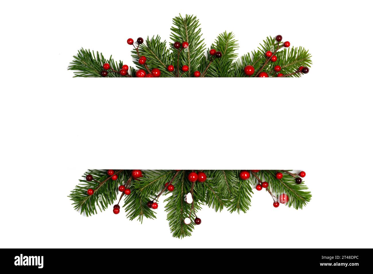 Christmas Border frame of tree branches and red berries on white ...