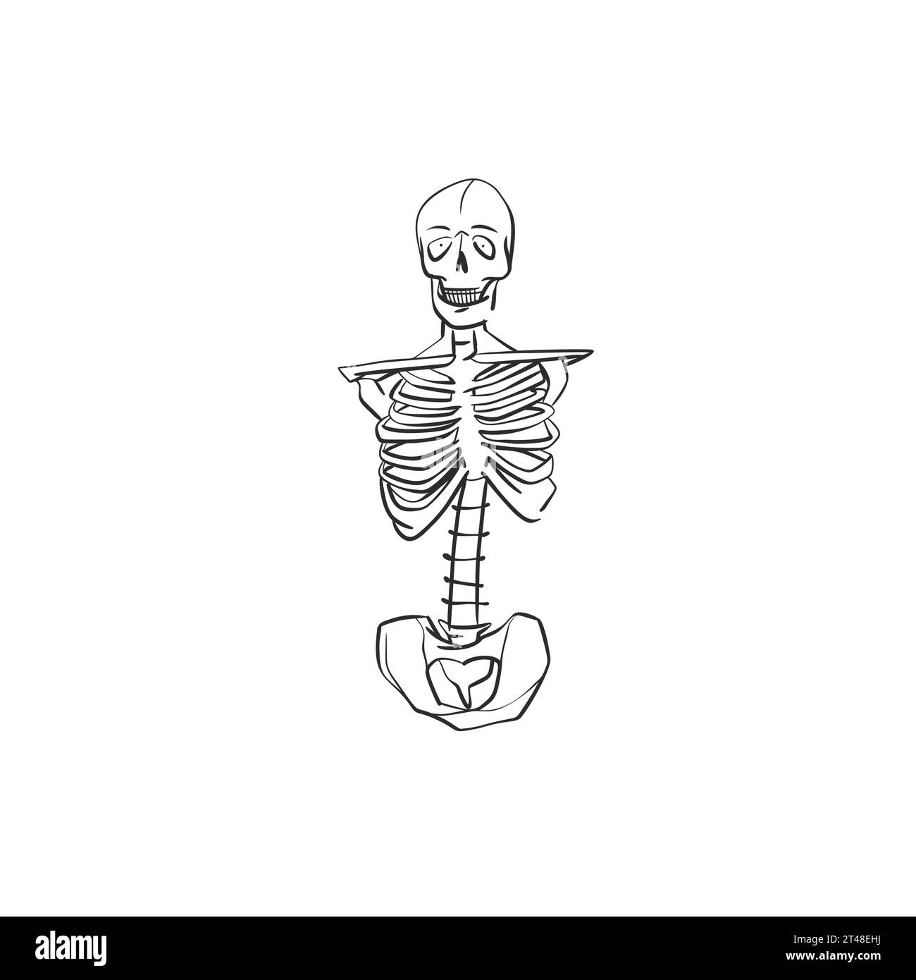 Hand drawn vector abstract graphic line art of Human skeleton line art ...