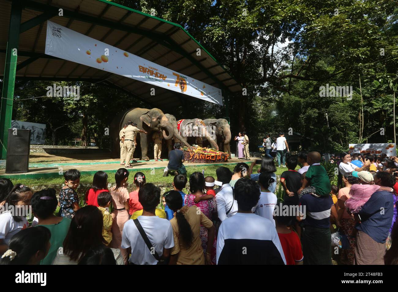 Yangon, Myanmar. 29th Oct, 2023. Momo (2nd R, rear), a well-known Asian ...