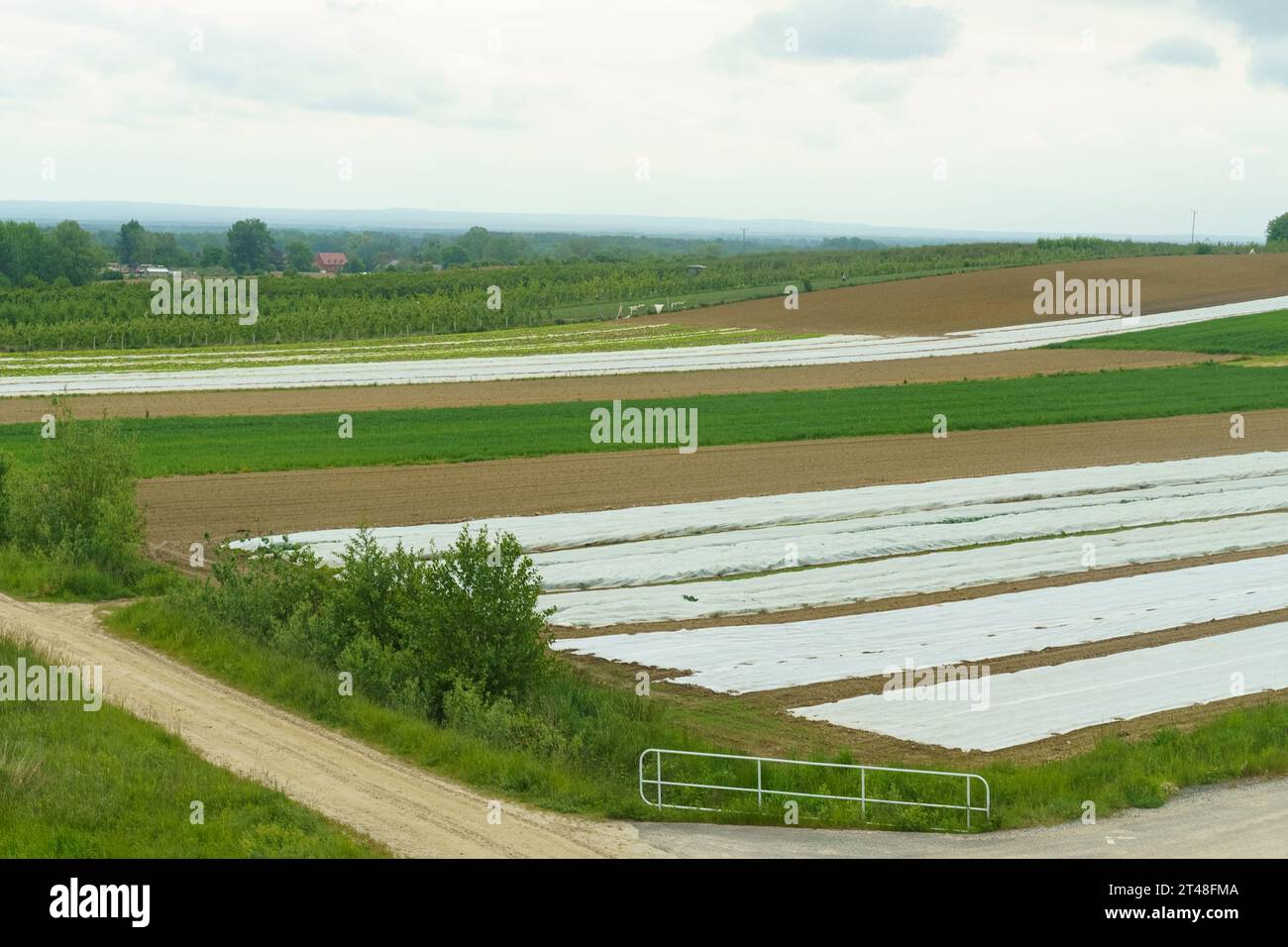 Beds agricultural crops covered hi-res stock photography and images - Alamy