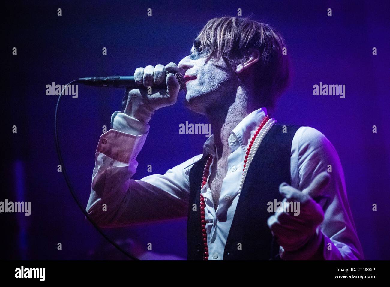 Bob hund band hi-res stock photography and images - Alamy