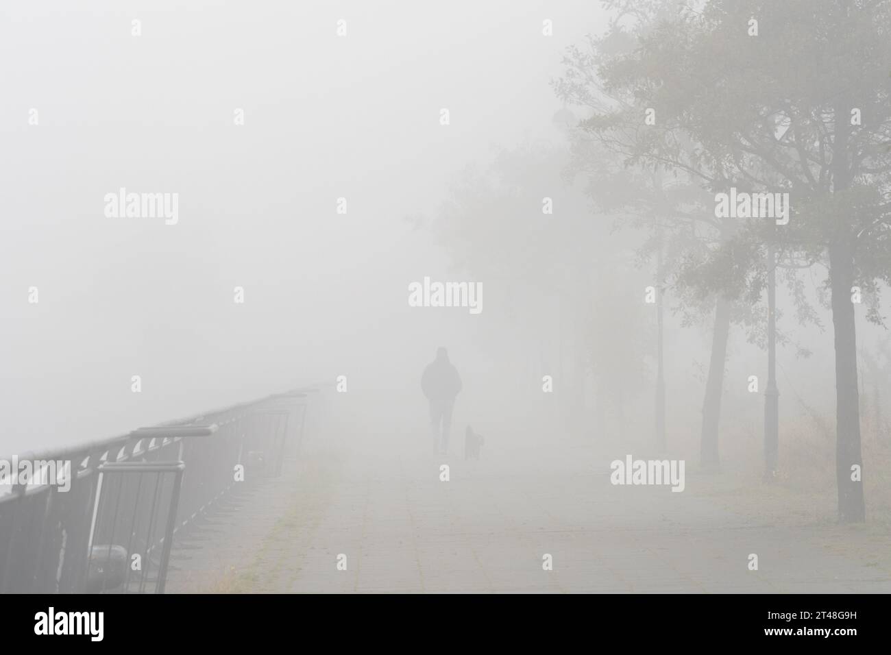 A figure walks their dog in atmospheric fog by the River Tees ...