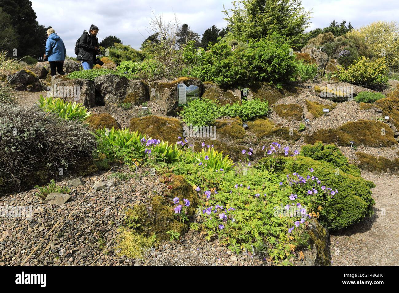 View over the Royal Botanic Gardens Edinburgh (RBGE), Scotland, UK ...