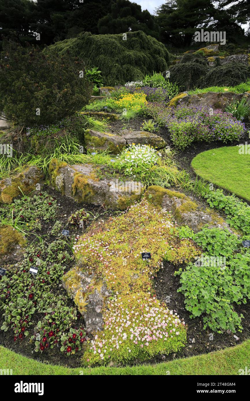 View over the Royal Botanic Gardens Edinburgh (RBGE), Scotland, UK ...