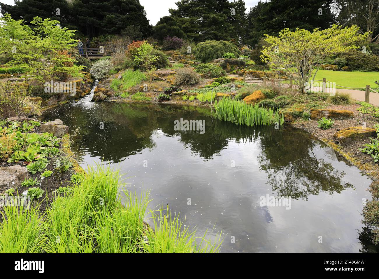 View over the Royal Botanic Gardens Edinburgh (RBGE), Scotland, UK ...