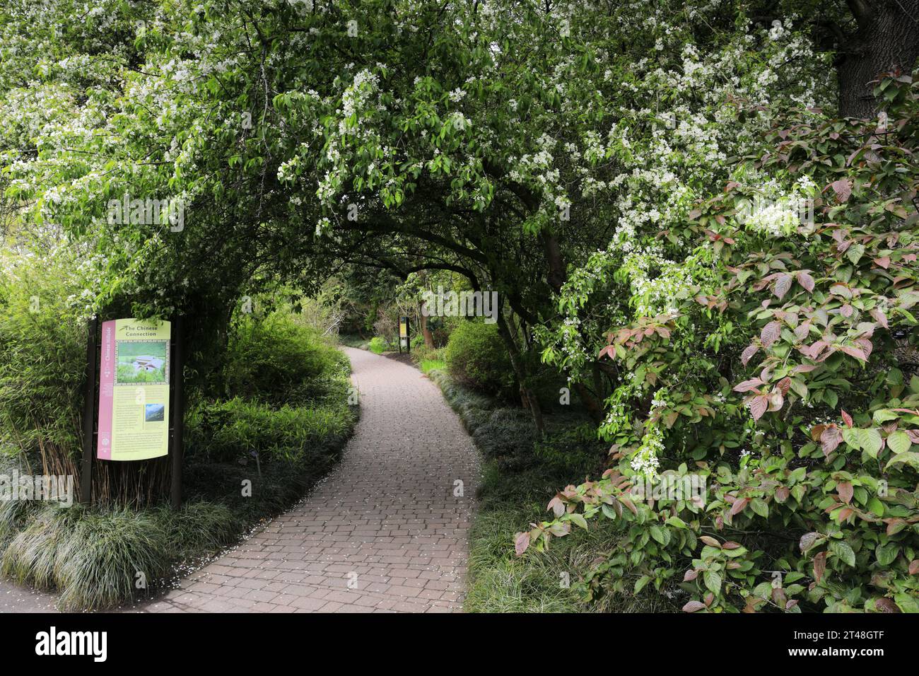 View over the Royal Botanic Gardens Edinburgh (RBGE), Scotland, UK ...