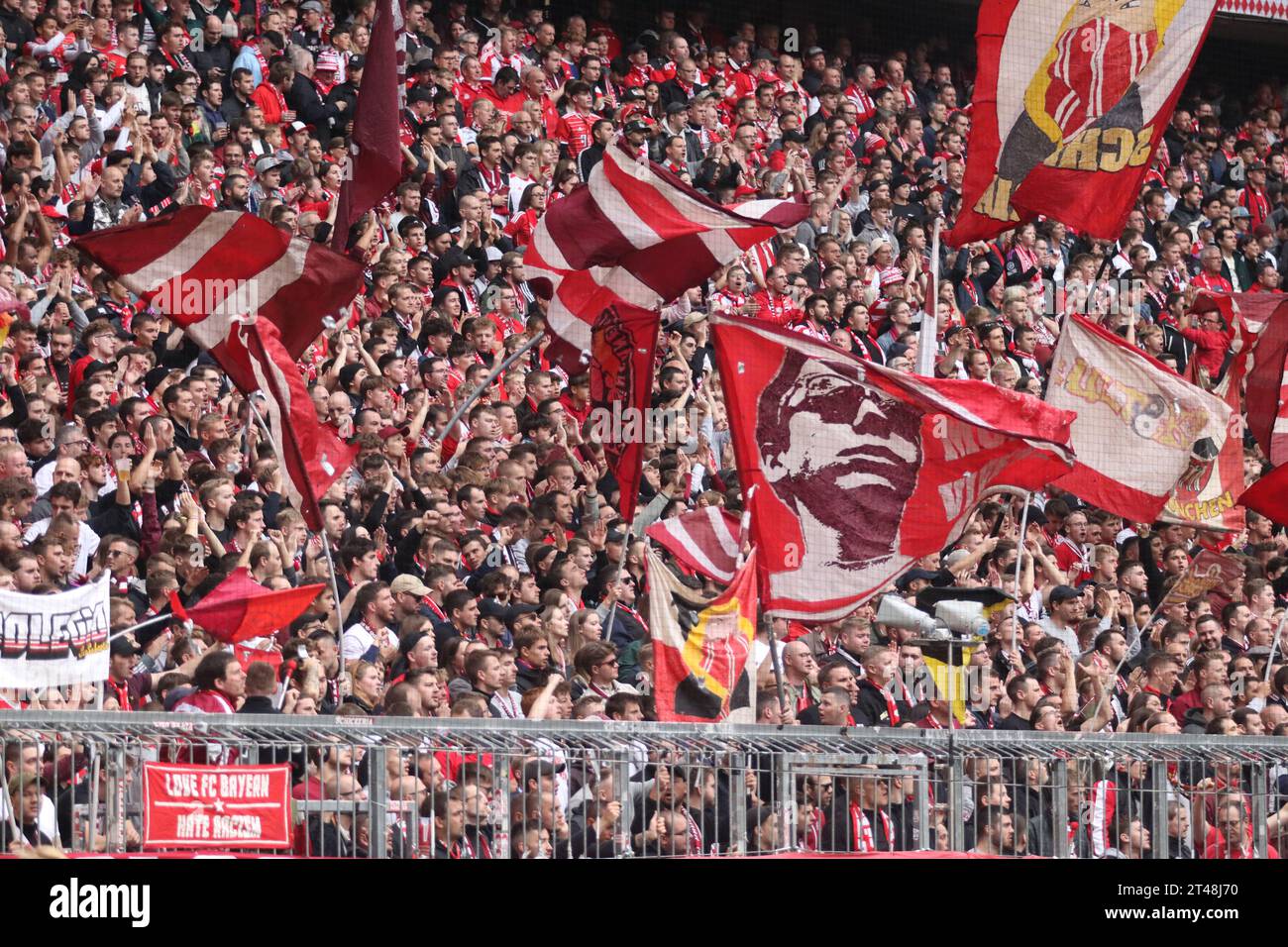 Sv darmstadt fans hi-res stock photography and images - Alamy